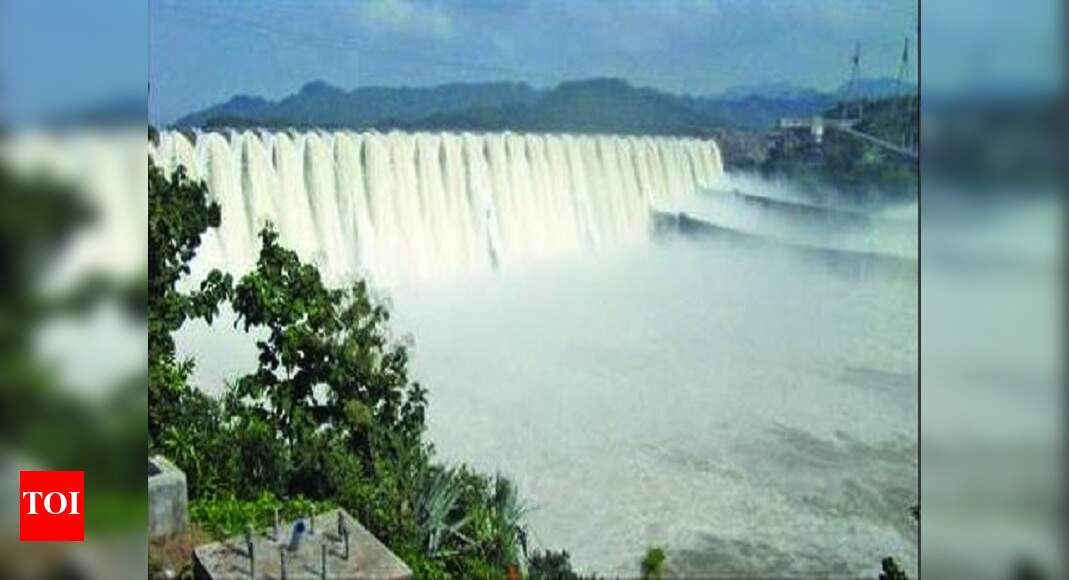 NGO to approach NGT for Narmada water | Surat News - Times of India