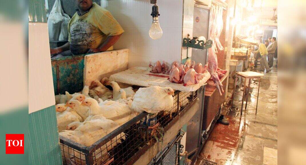 Poultry Meat: ‘Last frontier’ breaches on drug’s rooster dose ...