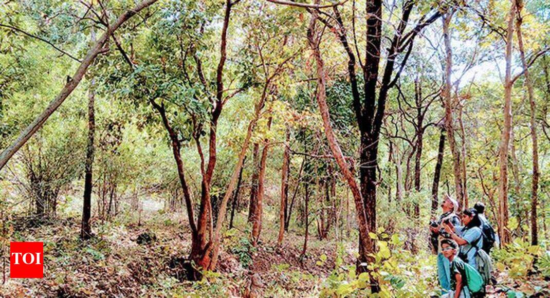 Dang Bird Festival: Bird lovers discover wildlife secrets at Dang camp ...