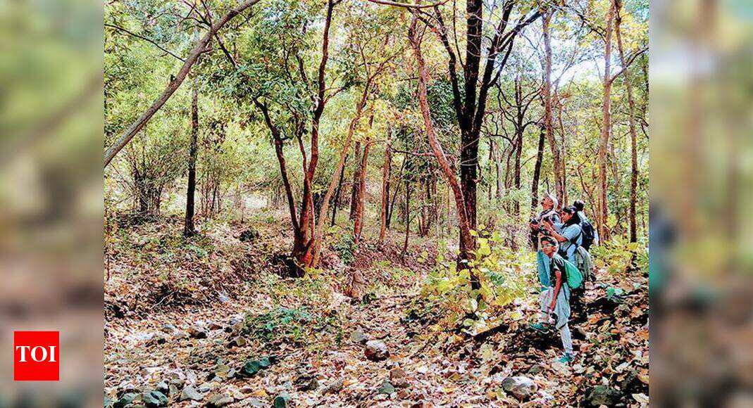 Dang Bird Festival: Bird lovers discover wildlife secrets at Dang camp ...