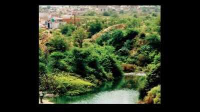 Forest or not? No one knows the status in 10 out of 14 villages in ...