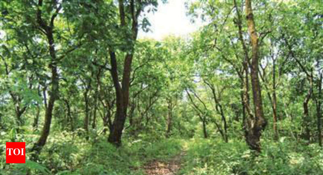 Another dubious mark: Haryana has lowest percentage of forest cover ...