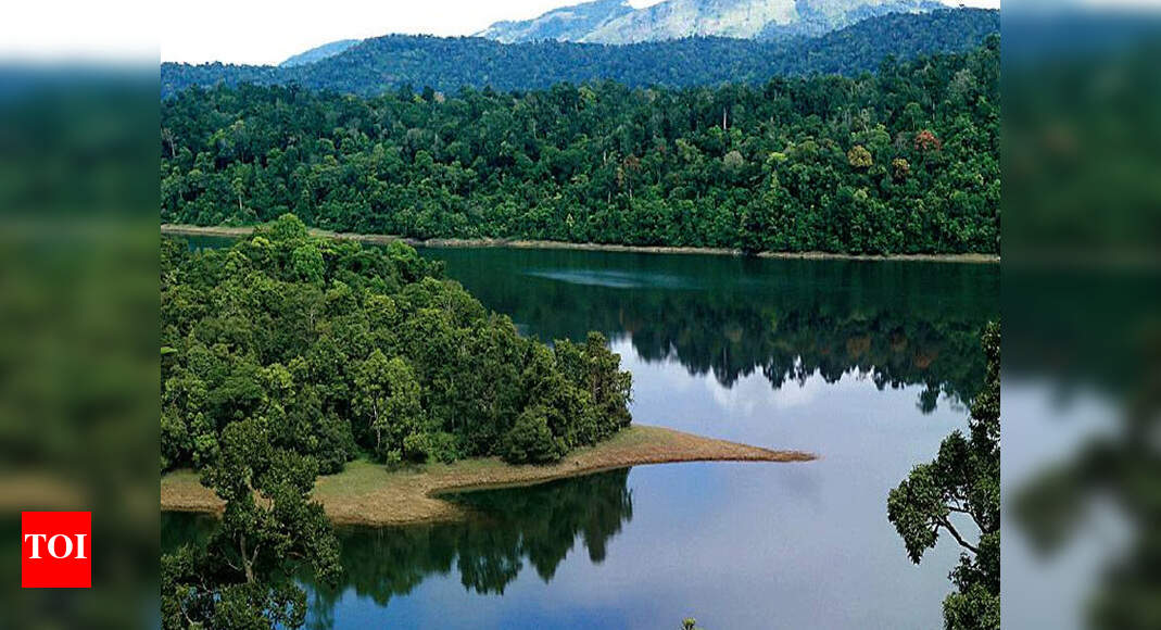 Kerala: Kerala forest cover grows by 1,043 sq km | Thiruvananthapuram ...