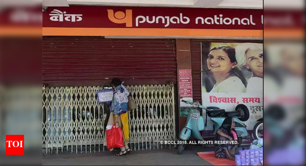 PNB fraud: How money vanished from one account - The Times of India
