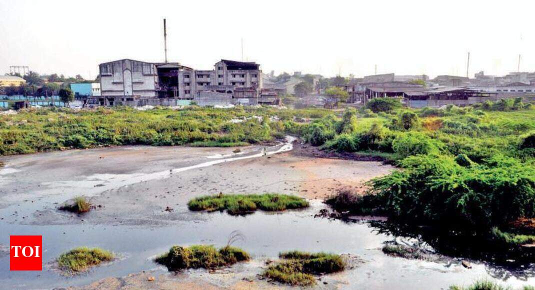 Central Pollution Control Board: CPCB team in city to monitor pollution ...