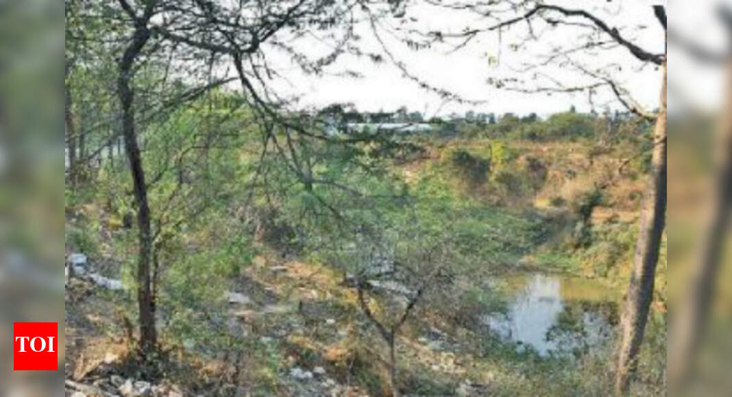 Illegal sales of Asola village plots slip through gaps in land records ...