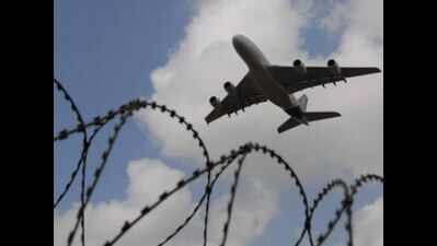 Indigo Airlines: Bird hit forces flight’s emergency landing ...