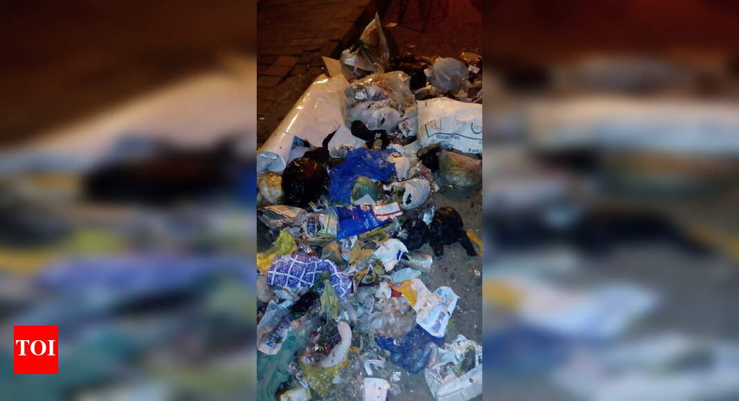 World class garbage pile - Times of India