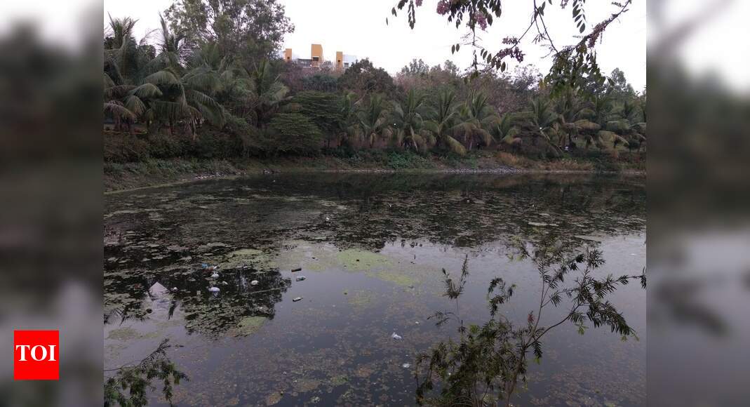 sector 26 PCNT GANESH TALAV. LITTERED BY CITIZENS - Times of India