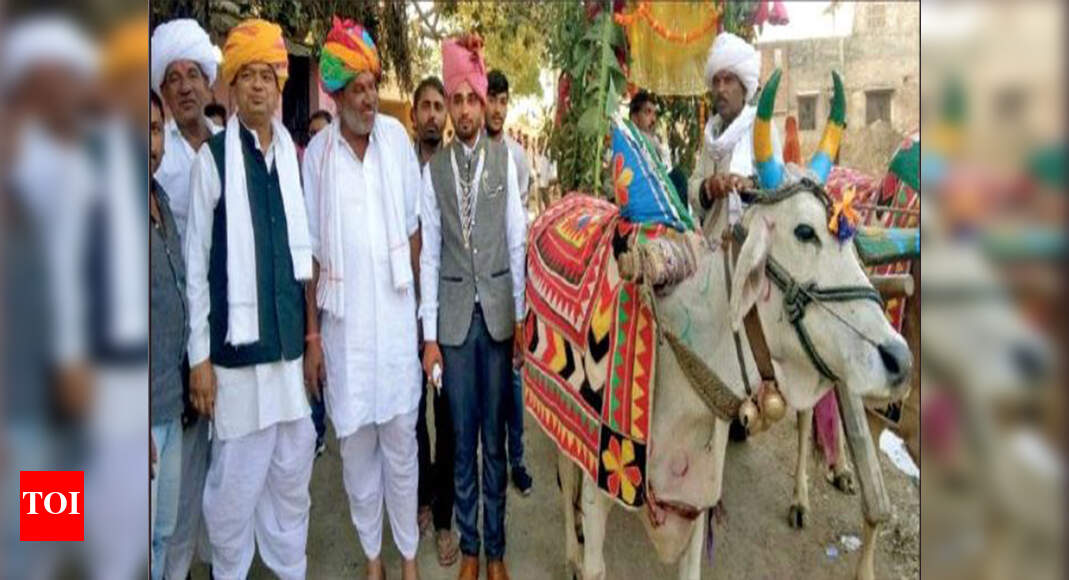 WEDDING PROCESSION AT BULLOCK CART: A wedding procession on bullock ...
