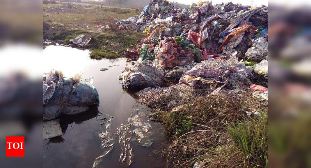 Waste still dumped on Hindon banks despite NGT order, greens write to government | Noida News ...