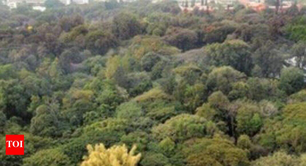 karnataka-tree-preservation-act-of-1976-govt-withdraws-controversial