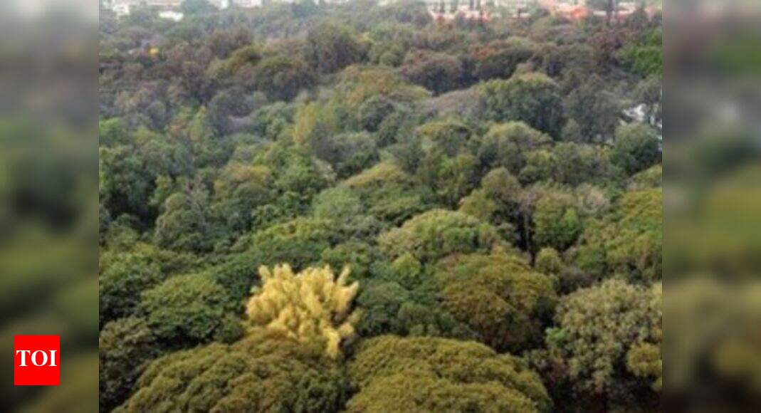 Karnataka Tree Preservation Act Of 1976: Govt withdraws controversial ...