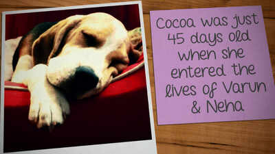 Varun Sunil: ‘I think musicians and pets have a special connection ...