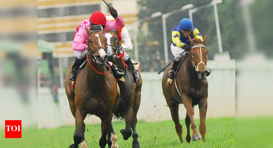 Glanders Disease: Ban on bullock cart races, horse shows continues due ...