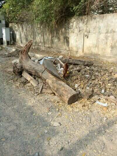 Corporation Officials unaccountably. - Times of India