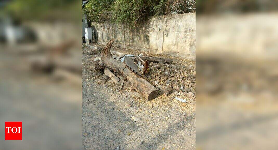 Corporation Officials unaccountably. - Times of India