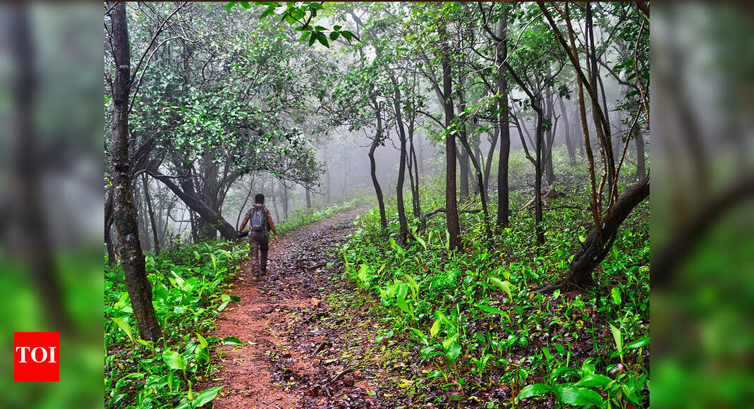 Govind Shirodkar Paul Fernandes Manuel Fernandes: ‘Plan will affect our ...