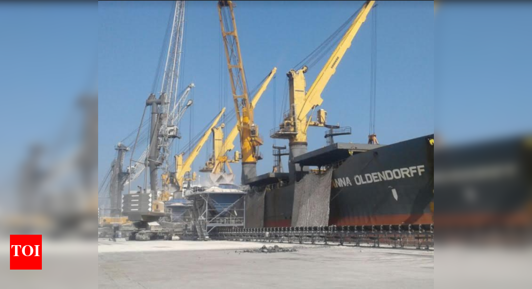 Tuticorin port sets record in single day handling of cargo | Chennai ...