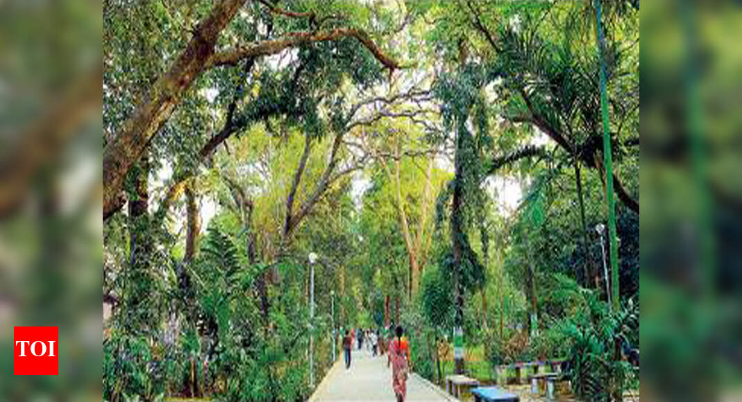 Breathe deep: 17 new parks to boost lung space in Chennai | Chennai ...