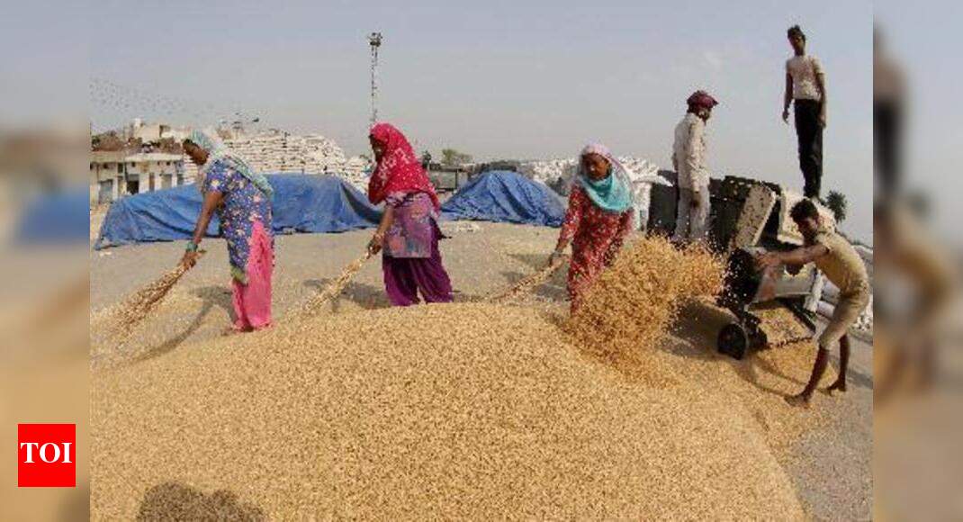 Foodgrain production may touch record 277 mn tonnes | India News ...