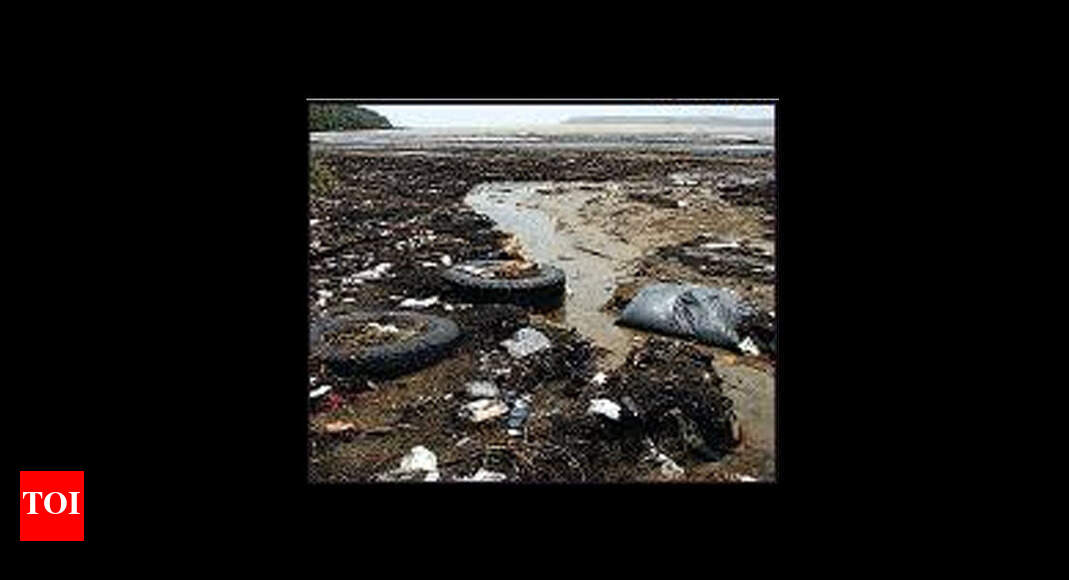 Goa Solid Waste Management Corporation: No tech expertise, tourism ...