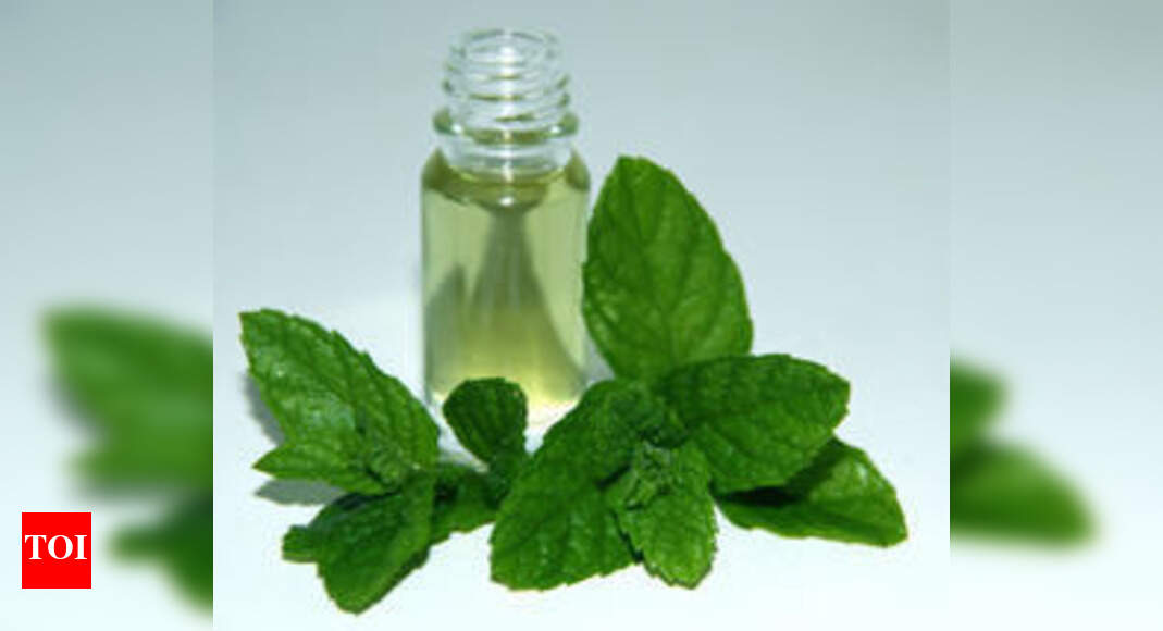 Mentha Oil: Menthol declines on reduced offtake - Times of India