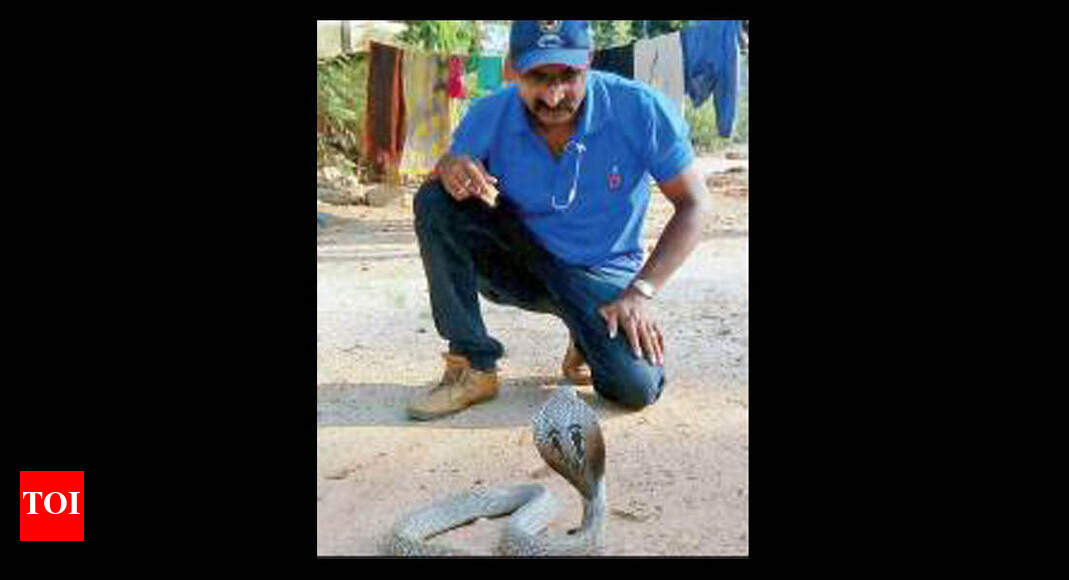 BBMP: Summer scare: BBMP gets 60 snake rescue calls a day | Bengaluru ...