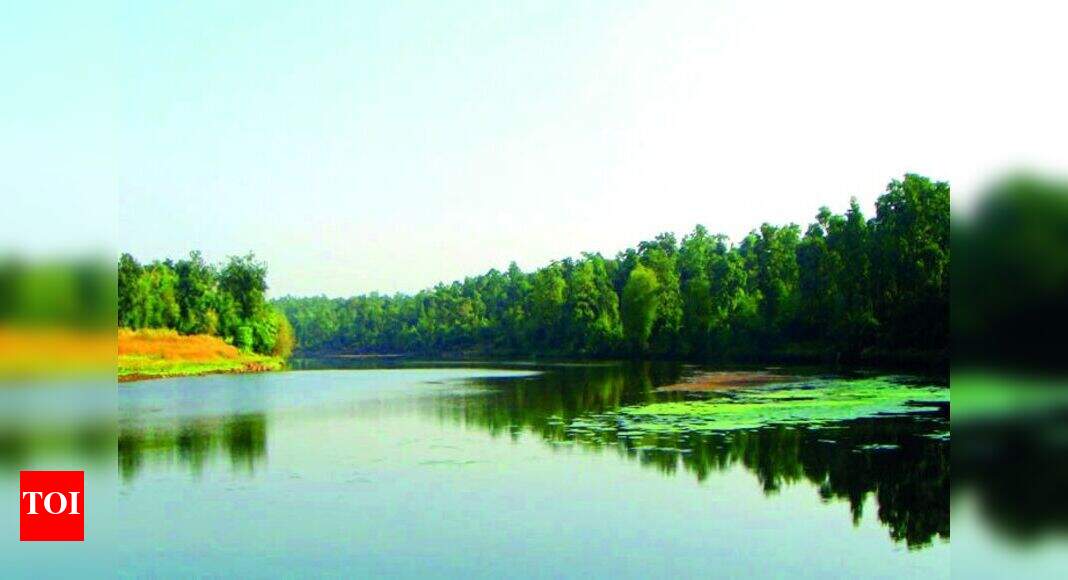 Gujarat’s top wildlife trails - Times of India