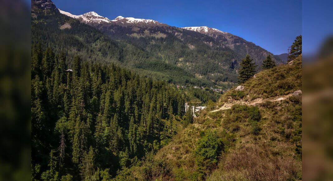 Places to visit in spring near me - Places to travel this Spring ...