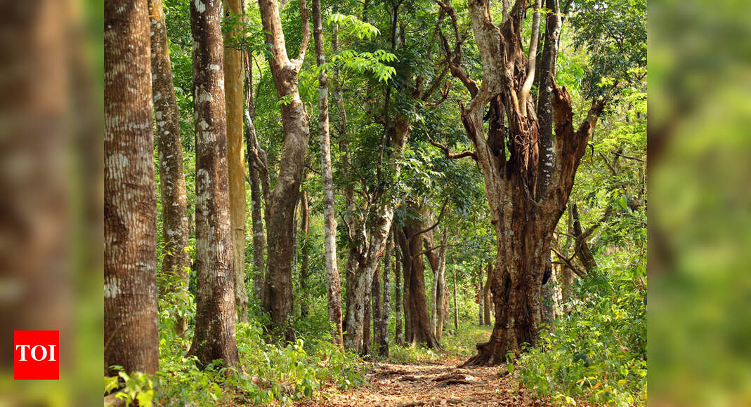 Controversy Over The Ponthanpuzha Forest Land: Political battle brews ...