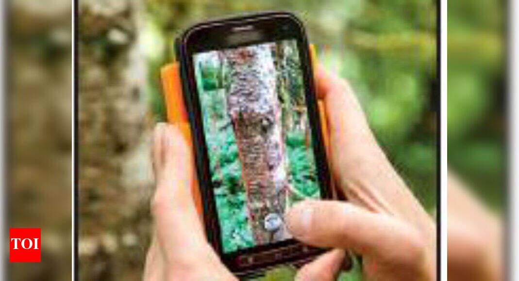 Biggest danger to climate? Your smartphone - Times of India