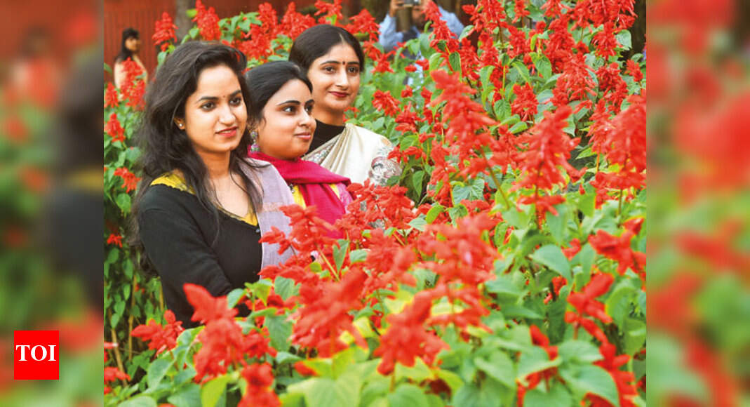 Lady Shri Ram College highlights environmental issues at flower show ...