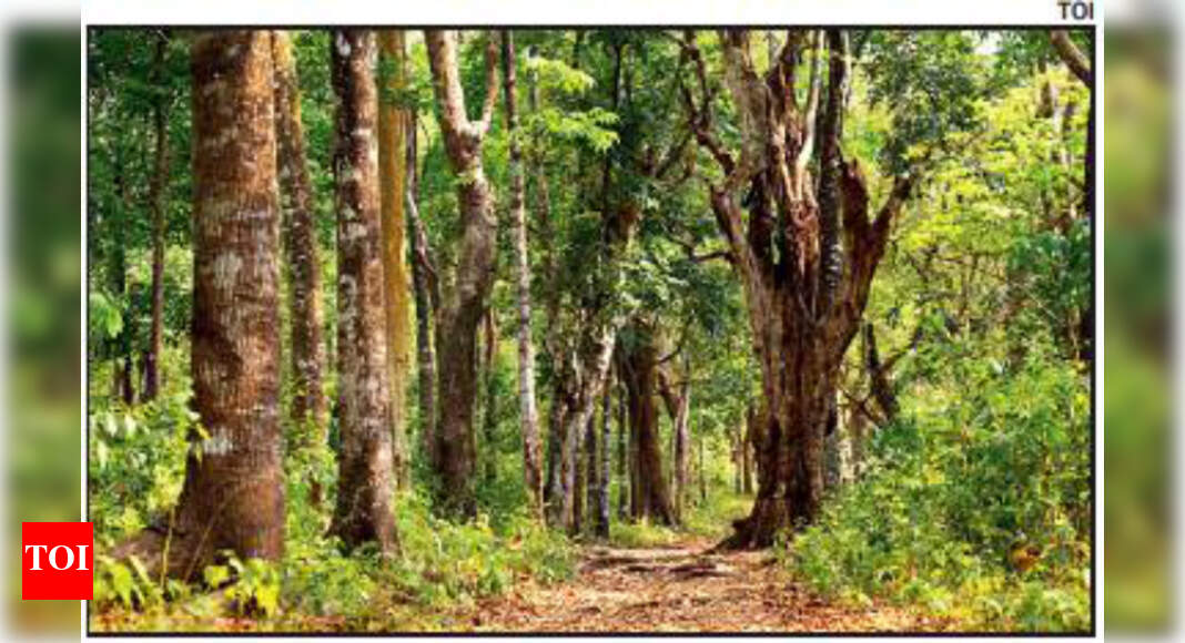 Ponthanpuzha Forest: Ruling CPI at receiving end of Ponthanpuzha Forest ...