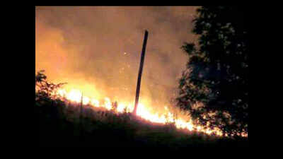 Fire destroys forest swathe on Nandi Hills | Bengaluru News - The Times ...