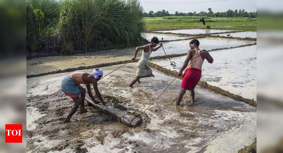 Narendra Modi: Rural stocks are trade of decade to old bridge on Modi ...