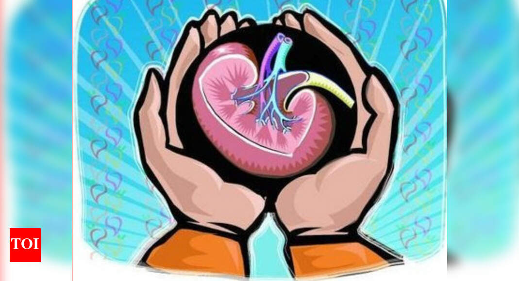 Meet the women who saved lives by donating kidneys | Mumbai News ...