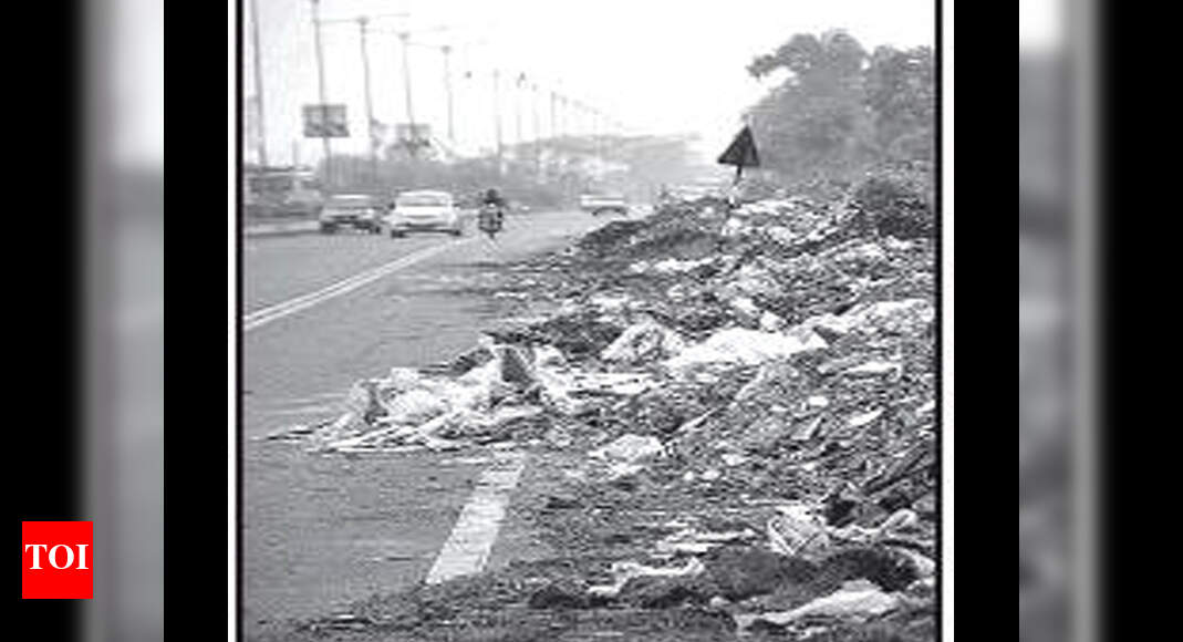 Goa govt identifies 13 sites for dumping construction debris | Goa News ...