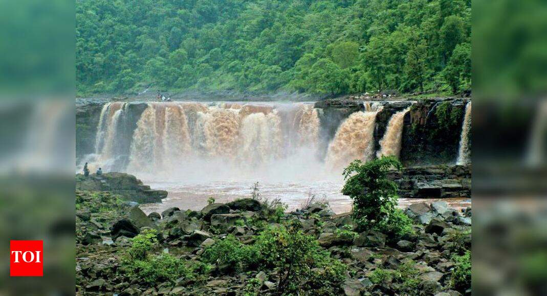 NGO: NGO takes up periodic clean-up operation in Dang forest | Surat ...