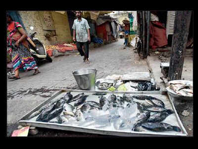 Bhoi Ali fishermen fish for new jobs to survive | Pune News - Times of ...