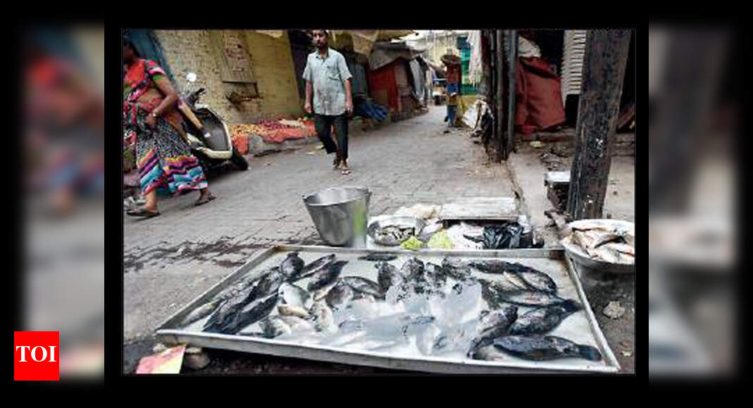 Bhoi Ali fishermen fish for new jobs to survive | Pune News - Times of ...