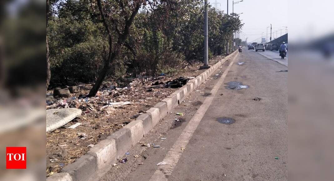 HIGHLY DIRTY AREA WITH NO FACILITY OF TOILET - Times of India