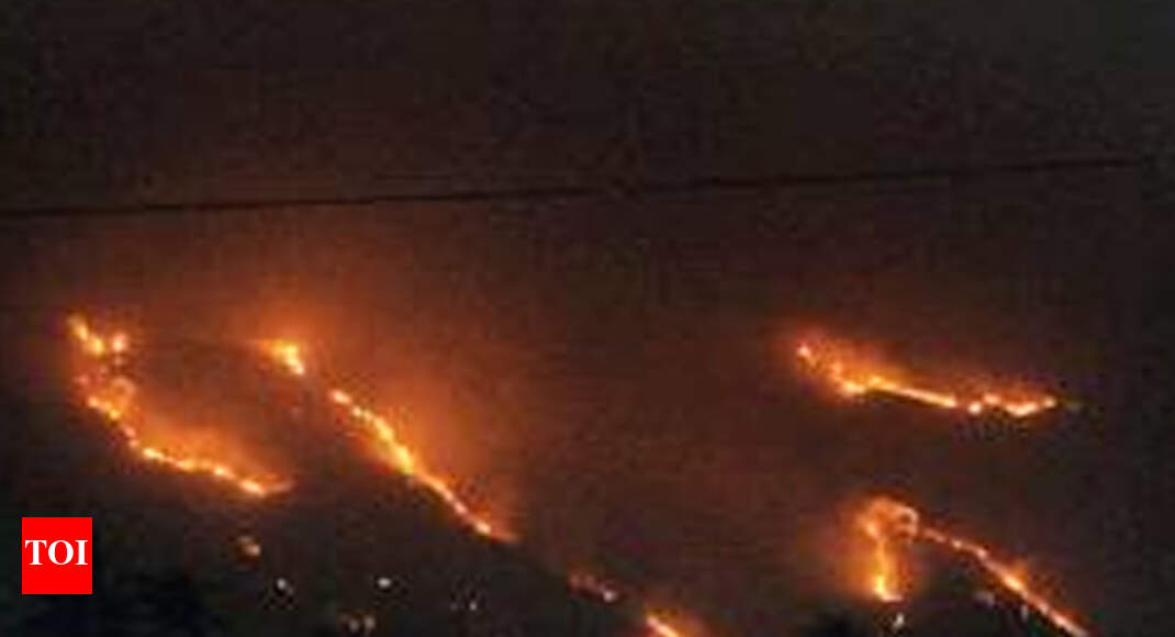 Forest fire: 37 trekkers trapped in Bodi hills forest fire, five feared ...