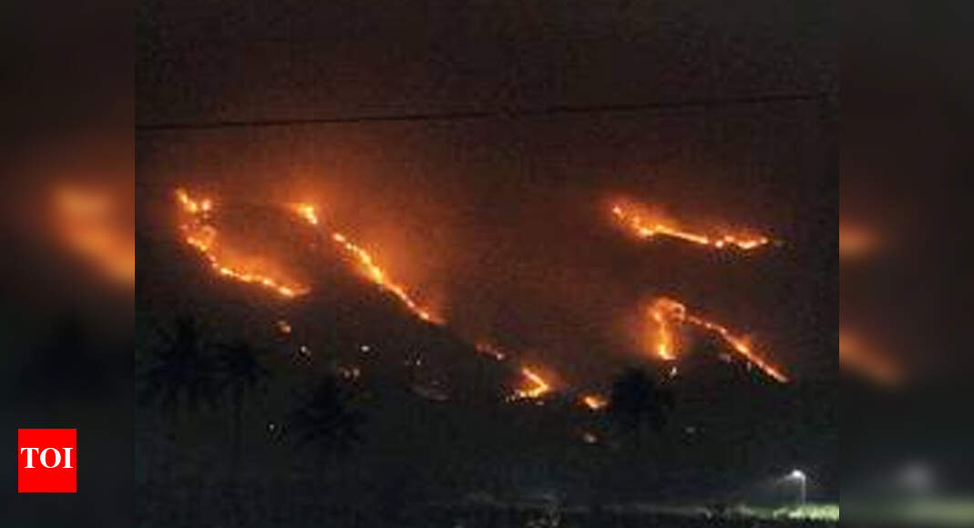 Fire On Kurangani: ‘Didn’t know fire was headed our way’ | Chennai News ...