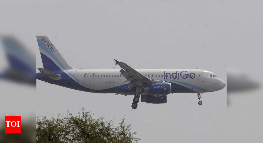 DGCA orders IndiGo, GoAir to immediately ground 11 A-320 Neos with ...