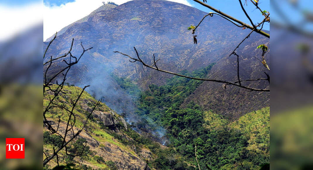 3 forest fire incidents in 48 hours raise doubts about its cause ...
