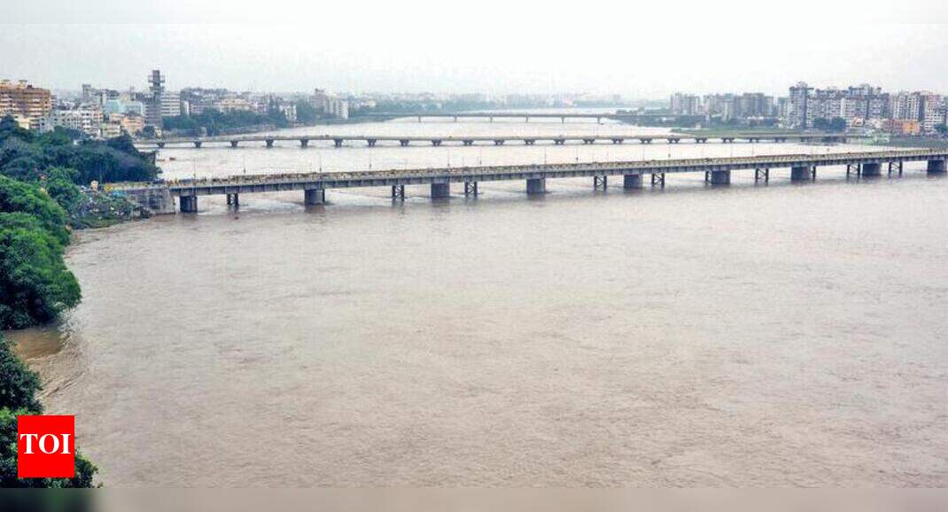 Tapi River: SMC to finalize building of new weir on Tapi by May | Surat ...