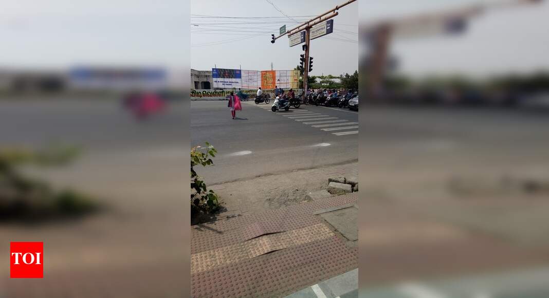 zebra crossing - Times of India