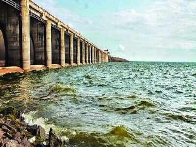 Water levels deplete in Marathwada dams | Aurangabad News - Times of India