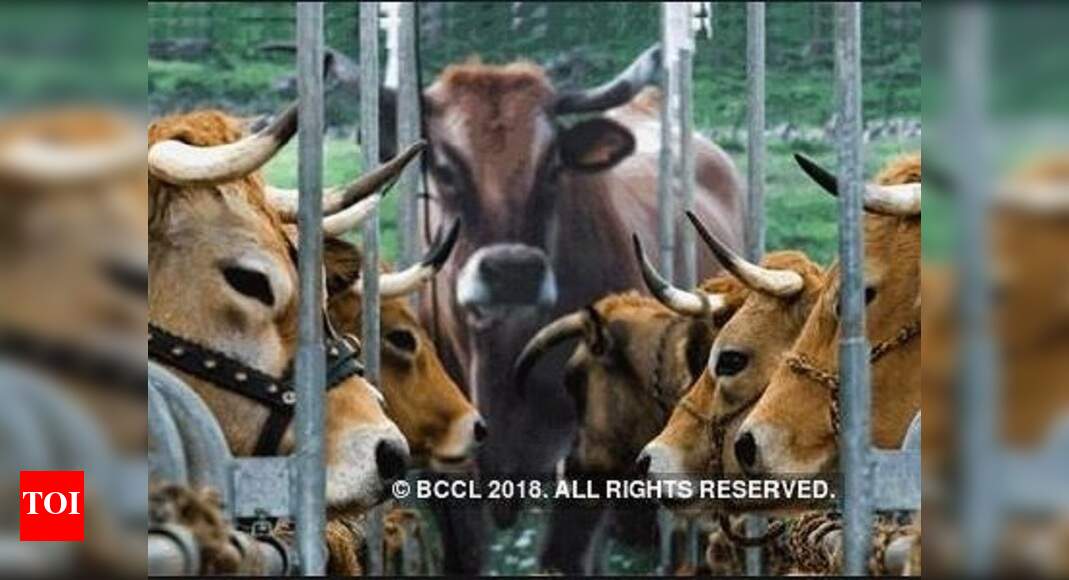 Boot camp in Kolkata to sensitise on legal rights of animals | Kolkata ...